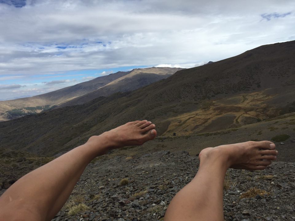 LAUKKU members – laukku.lv